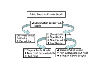 When Disaster Strikes, What can Government Do? | PPT