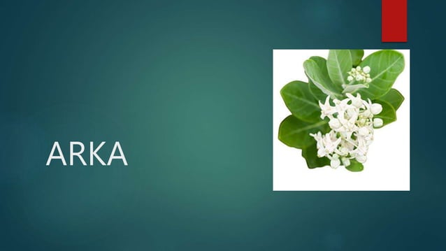 ARKA.pptx