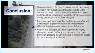 EFFECTS OF DAMS IN FISHERIES | PPTX