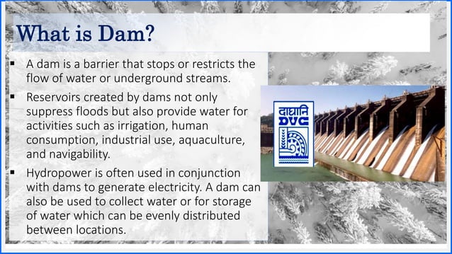 EFFECTS OF DAMS IN FISHERIES | PPTX