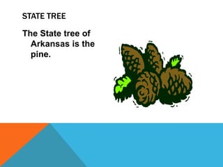 Arkansas | PPTX