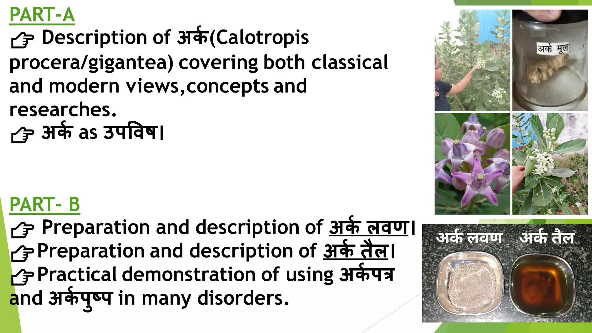 Ark(calotropis) - by aishwarya katara | PPT