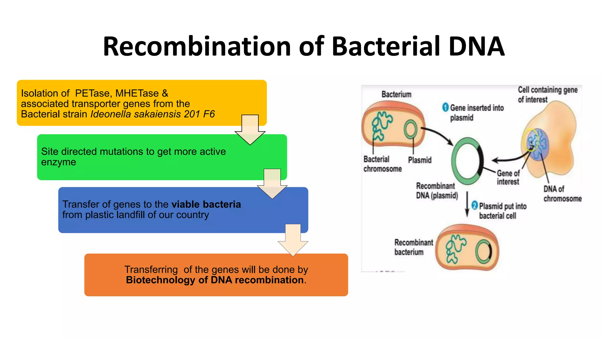 Biotechnological Idea on Solution To Plastic Pollution | PPTX
