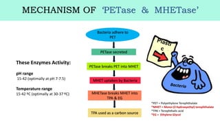 Biotechnological Idea on Solution To Plastic Pollution | PPTX