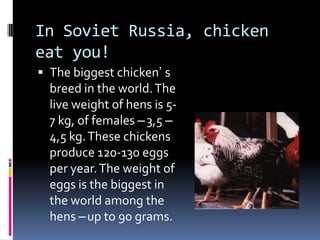 Ark Of Taste | PPT