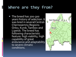 Ark Of Taste | PPT