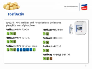 Mineral nutrition (fertilizing) program for POTATO | PDF