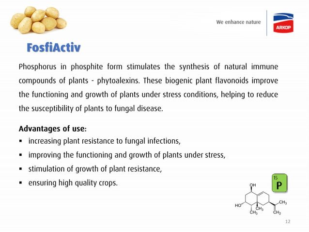 Mineral nutrition (fertilizing) program for POTATO | PDF
