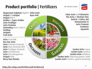 Mineral nutrition (fertilizing) program for POTATO | PDF