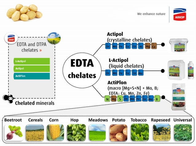 Mineral nutrition (fertilizing) program for POTATO | PDF
