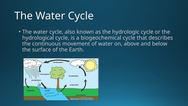 powerpoint presentation about the water cycle | PPT