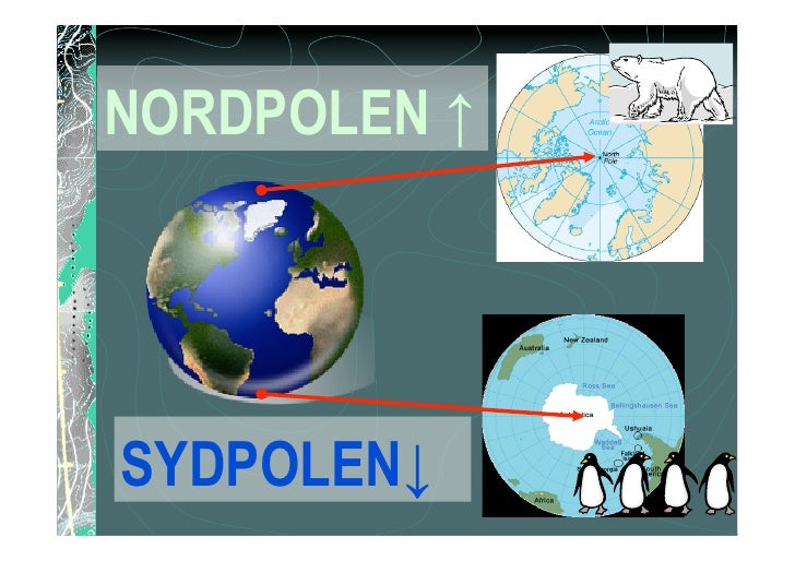 Arktis Och Antarktis