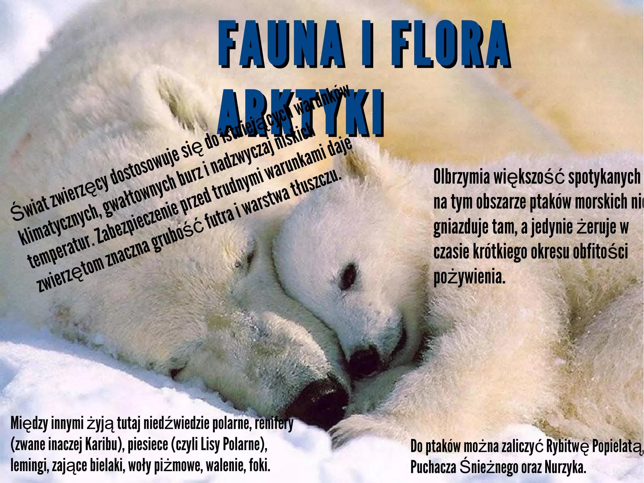 Arktyka & Antarktyka | ODP