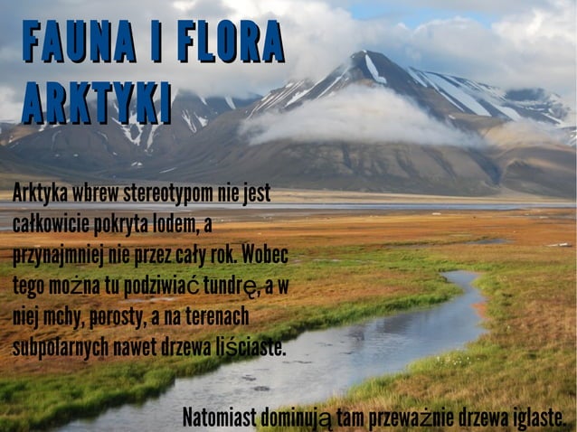 Arktyka & Antarktyka | ODP | Polar Travel | Travel Locations