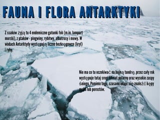 Arktyka & Antarktyka | ODP