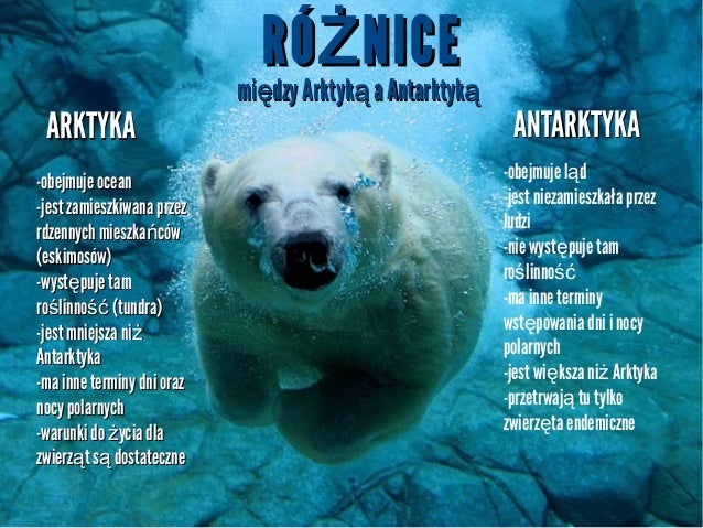 Arktyka I Antarktyda Prezentacja Multimedialna