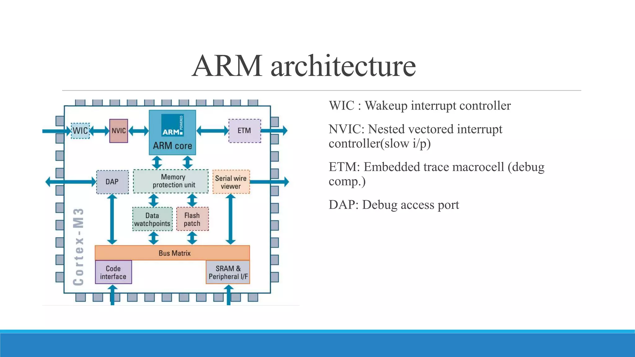 Arm | PPT