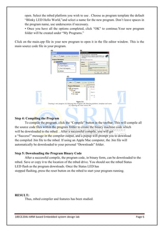 ARM-ES MANUAL.pdf