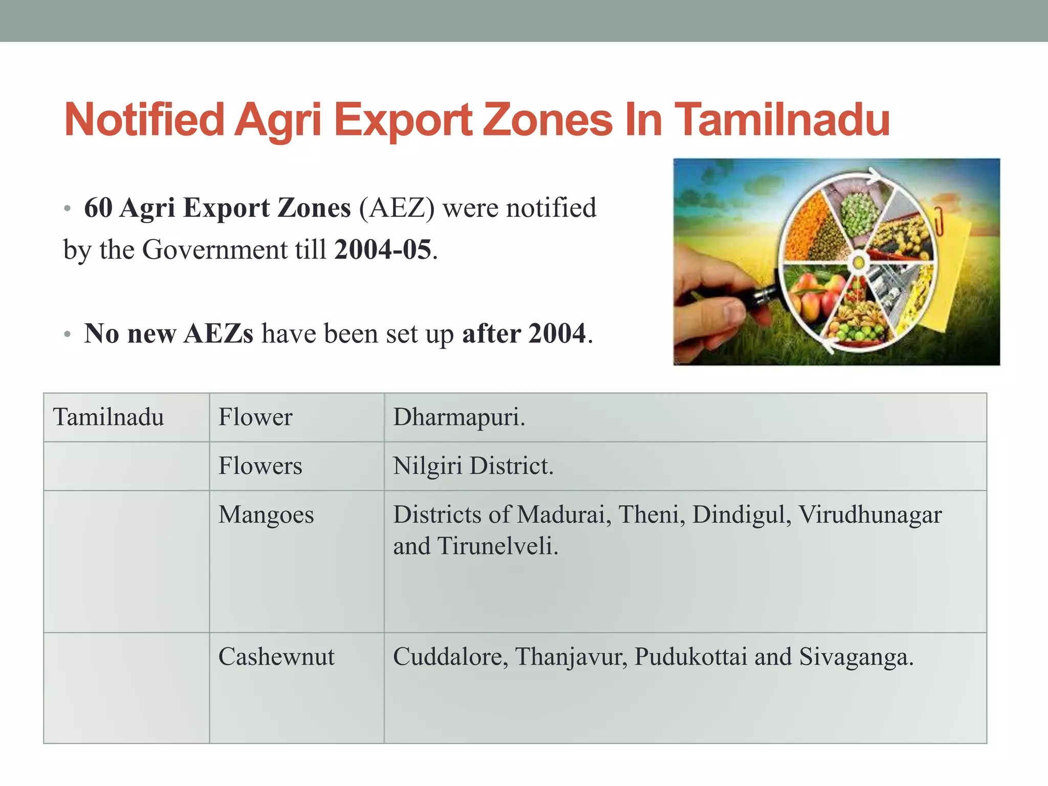 Agri Export Zones | PPTX