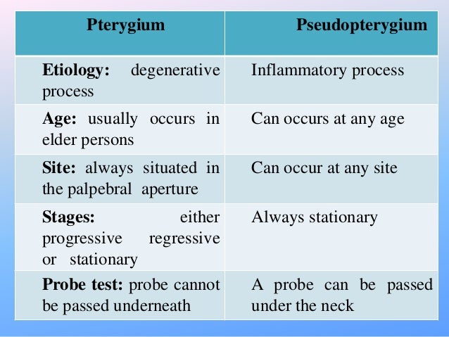 Arma pterygium