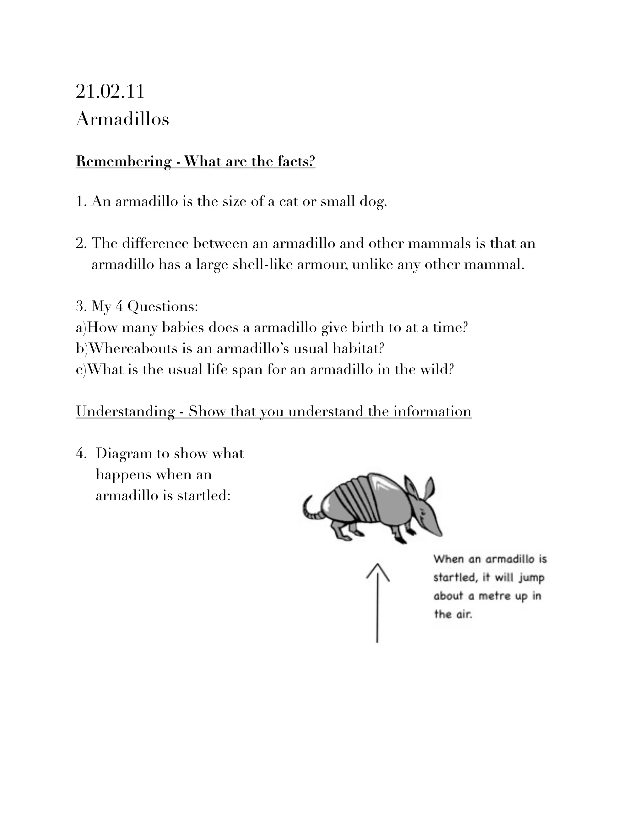Armadillo Reading Activity | PDF