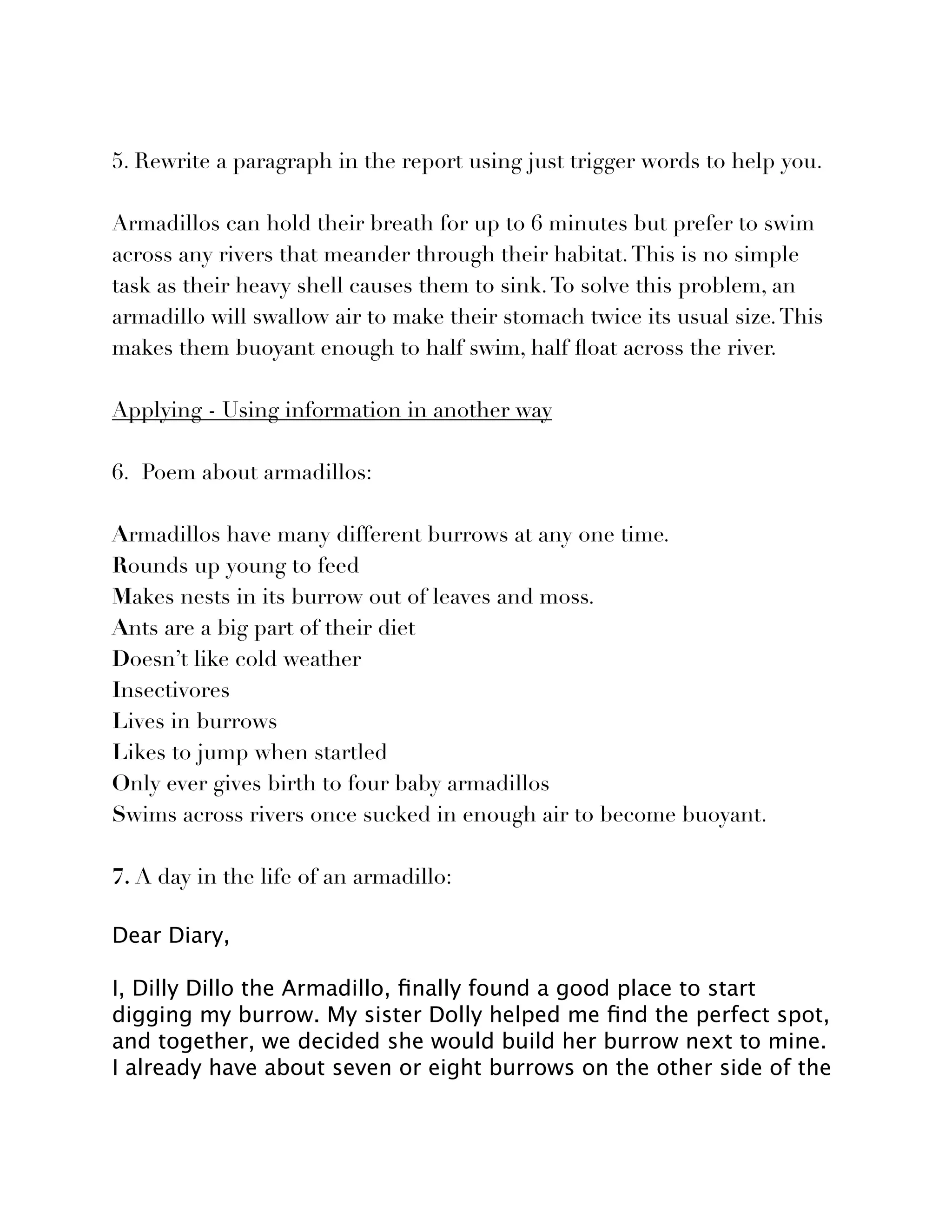 Armadillo Reading Activity | PDF