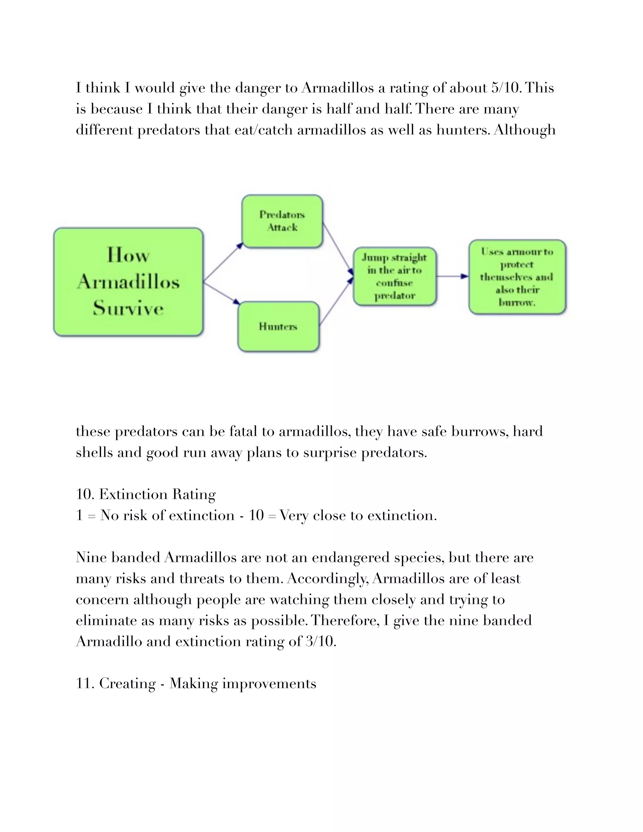 Armadillo Reading Activity | PAGES