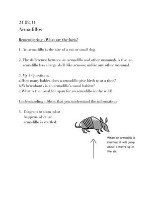 Armadillo Reading Activity | PDF