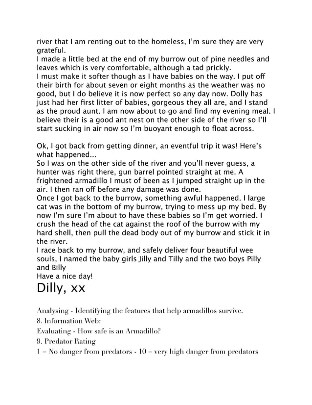 Armadillo Reading Activity | PDF