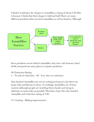 Armadillo Reading Activity | PDF