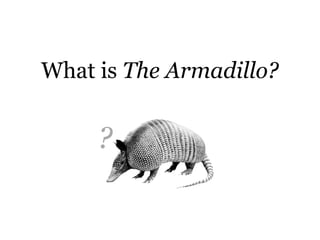 Armadillo Deck | PPT