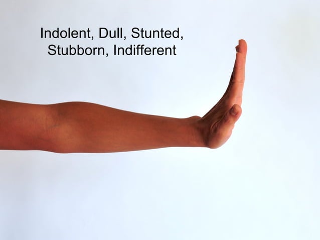 Armageddon or Evolution