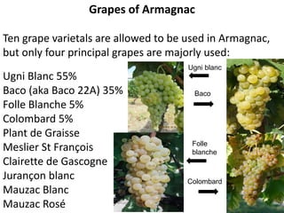 Armagnac | PPT