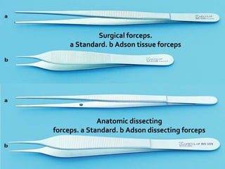 Armamentarium bedah mulut | PPT