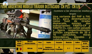 Armamento Individual-y-apoyo-Ejercito argentino.pdf