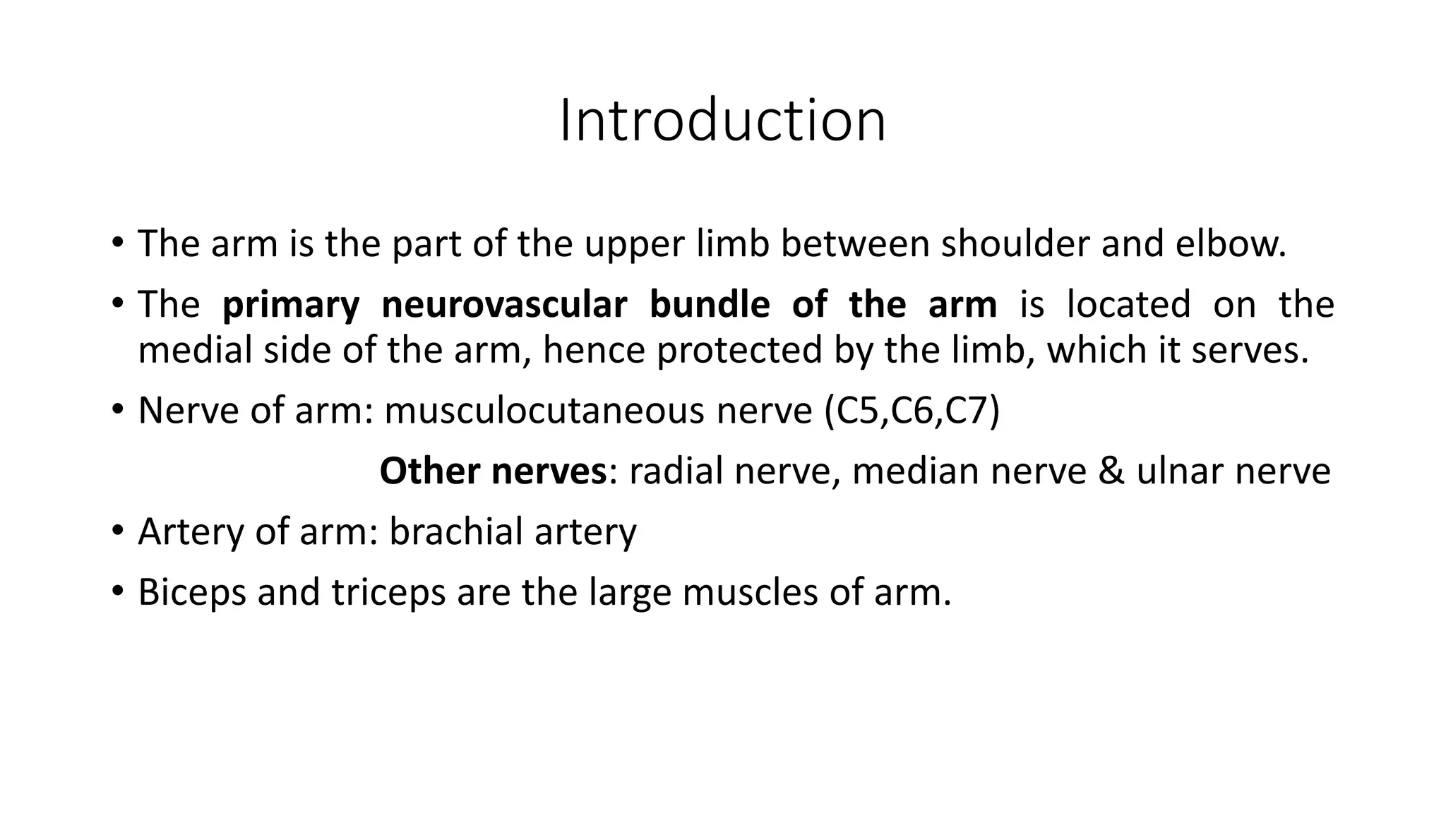 Arm and cubital fossa | PDF