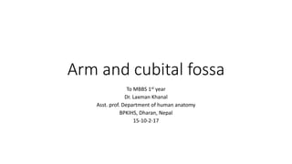 Arm and cubital fossa | PDF