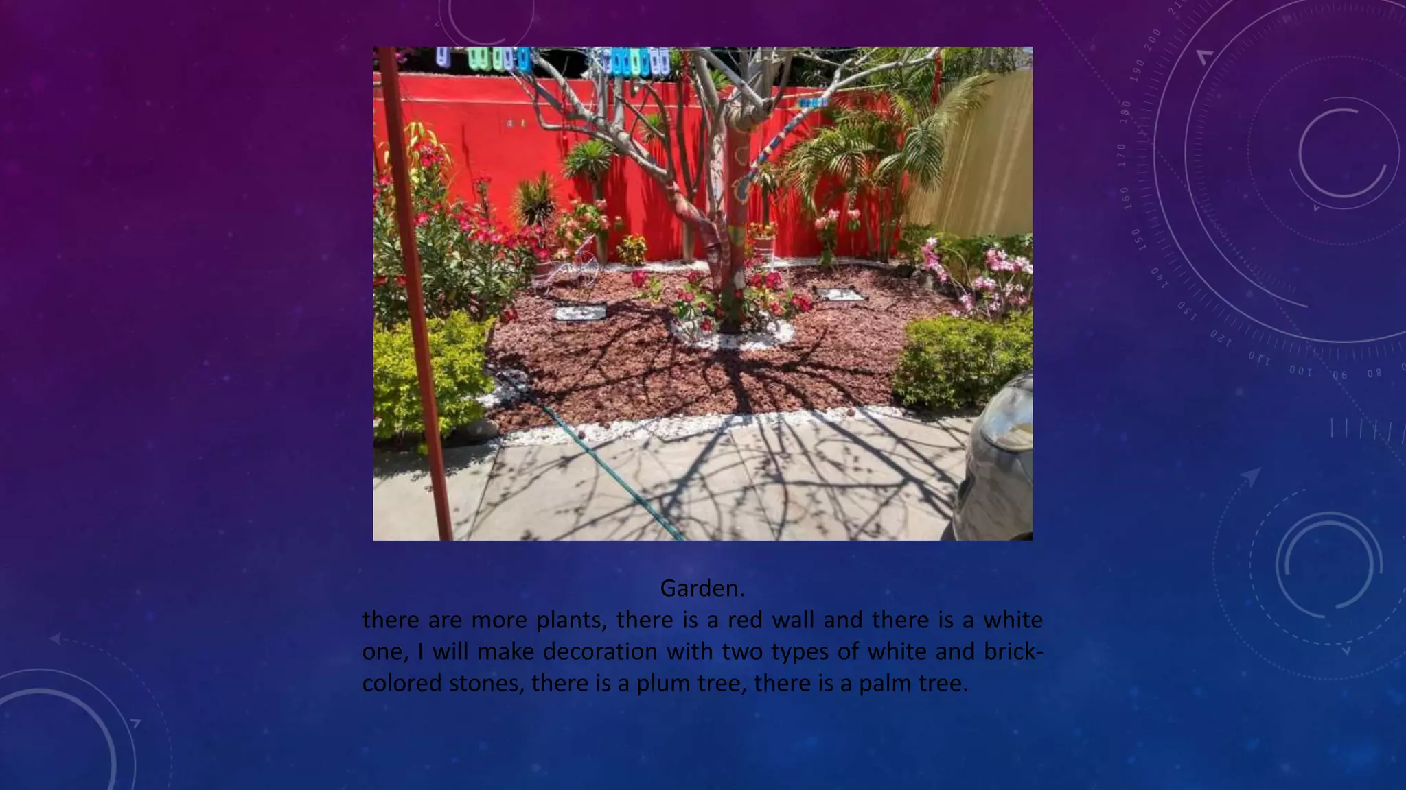 Armando mendoza luna. actividad 7 y 8 | PPT