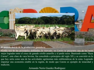 Armando Nerio Guedez Rodríguez - Carora, tradición agrónoma venezolana ...