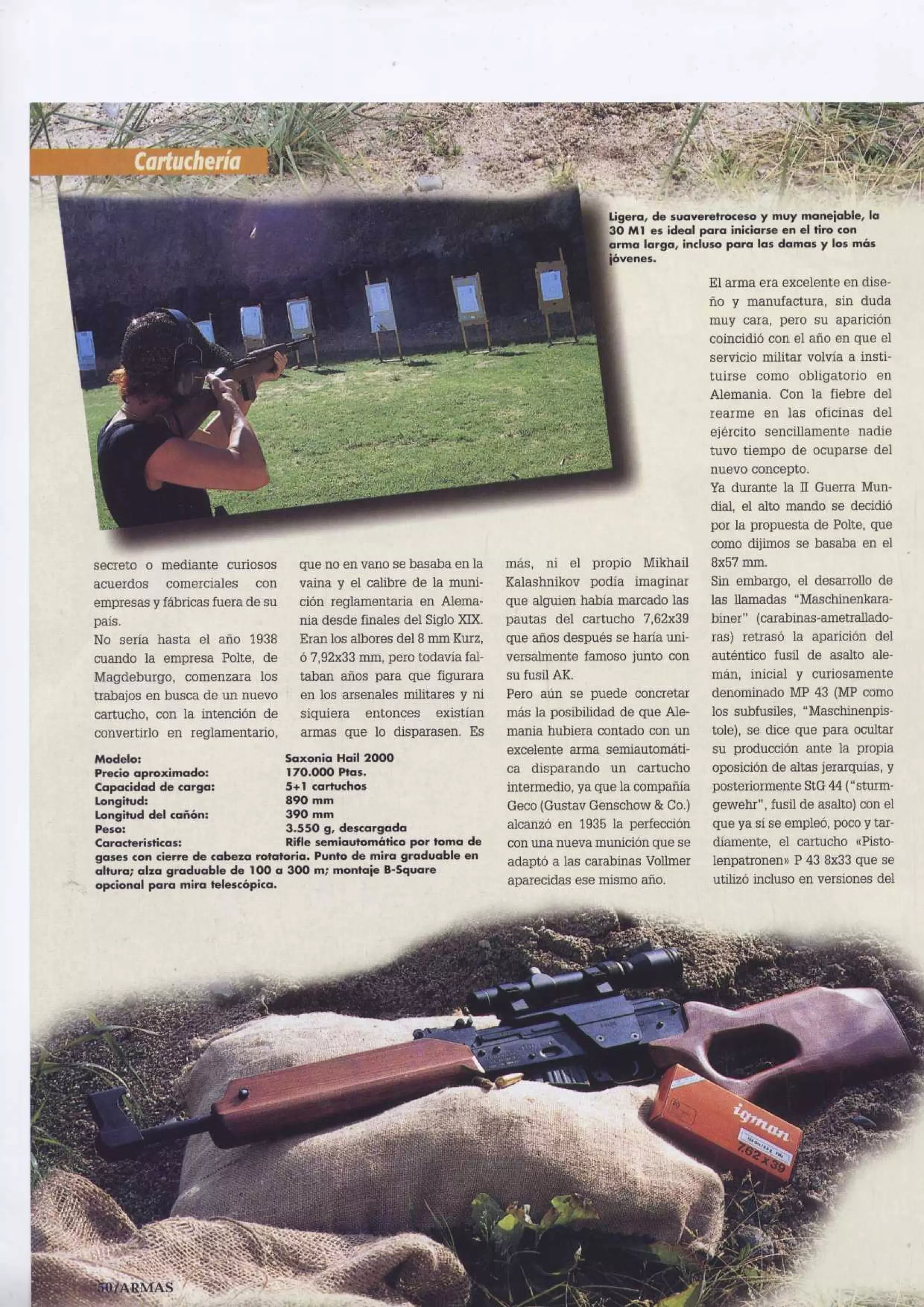 Armas Especial Rifles | PPT