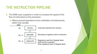 Arm corrected ppt | PPT