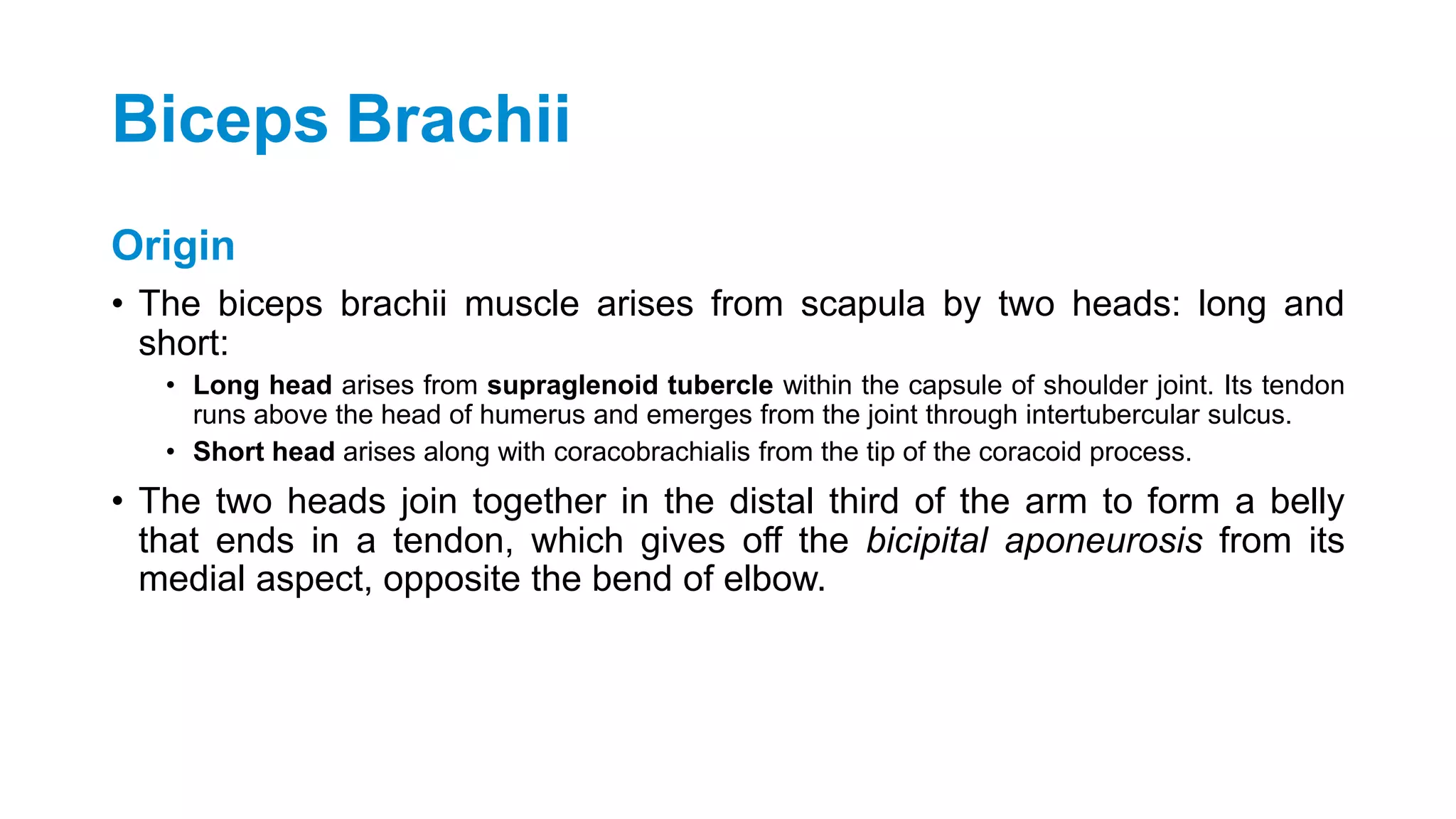Arm & Cubital Fossa.pptx