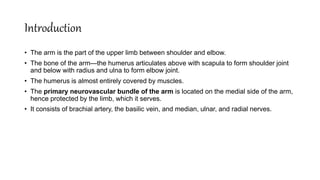 Arm & Cubital Fossa.pptx