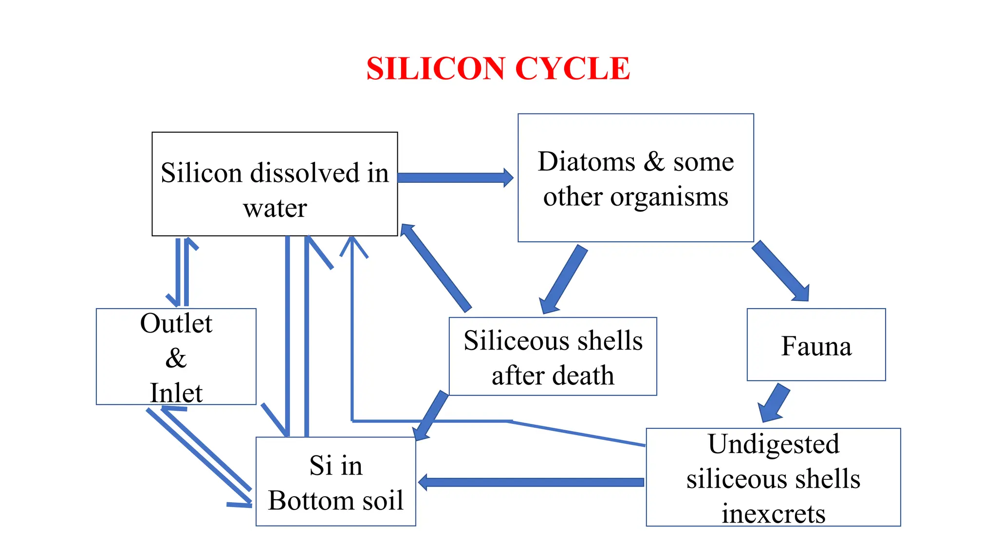 Comprehensive Overview of Biogeochemical Cycles: Carbon, Nitrogen ...