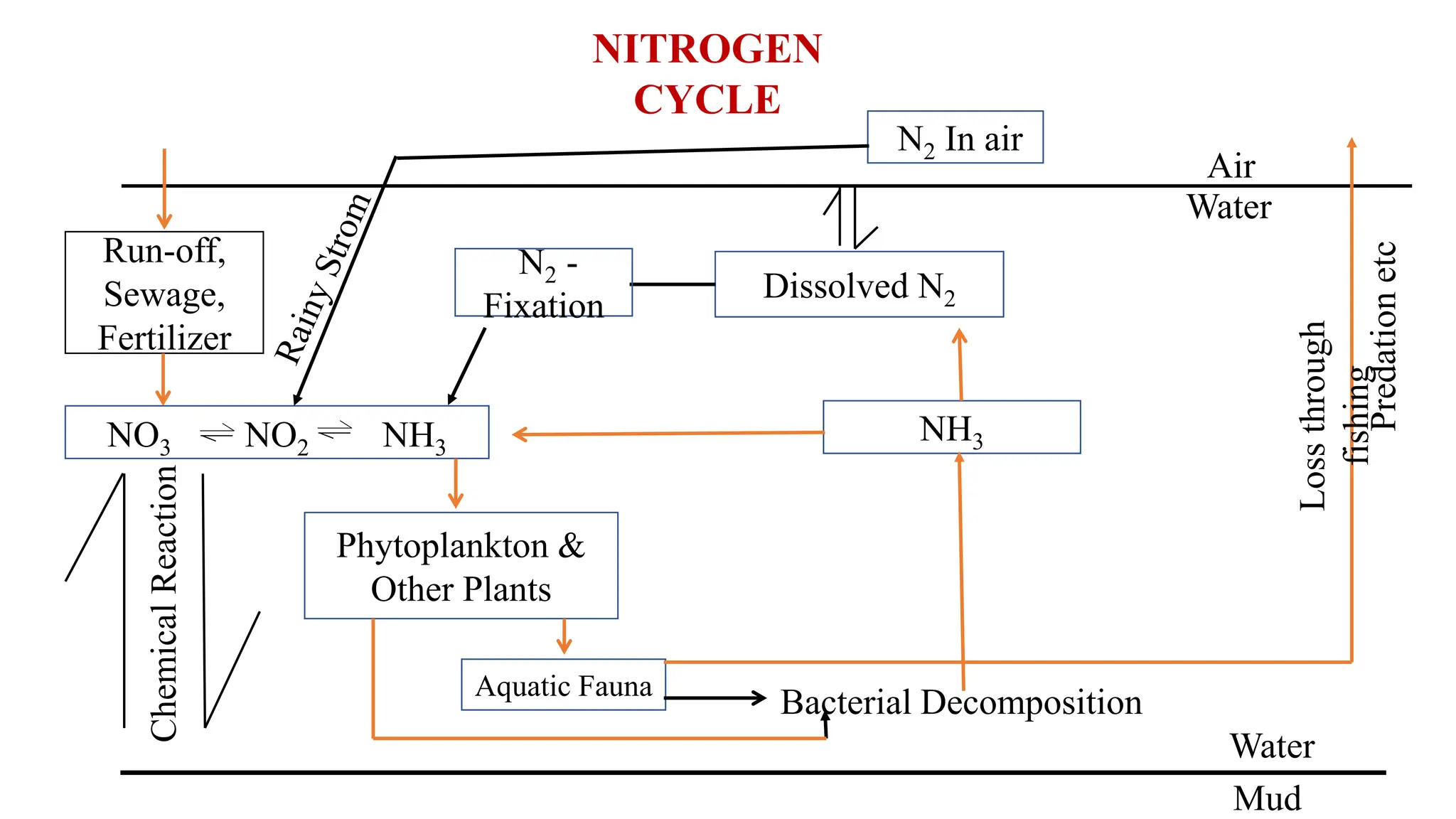 Comprehensive Overview of Biogeochemical Cycles: Carbon, Nitrogen ...