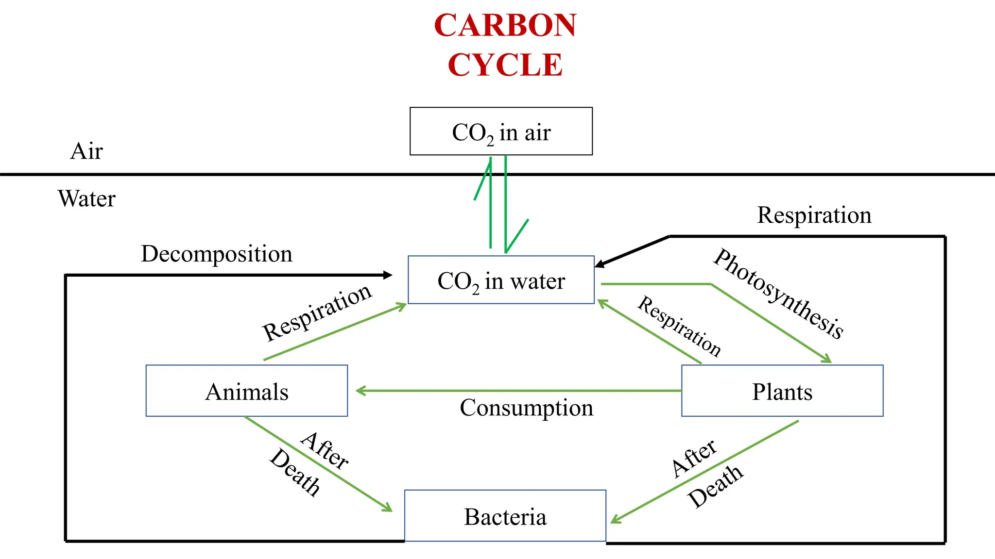 Comprehensive Overview of Biogeochemical Cycles: Carbon, Nitrogen ...