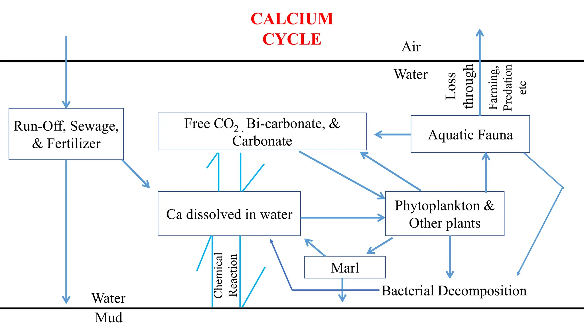 Comprehensive Overview of Biogeochemical Cycles: Carbon, Nitrogen ...