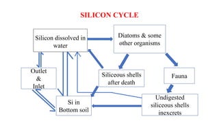 Comprehensive Overview of Biogeochemical Cycles: Carbon, Nitrogen, Calcium, Phosphorus, Sulphur ...