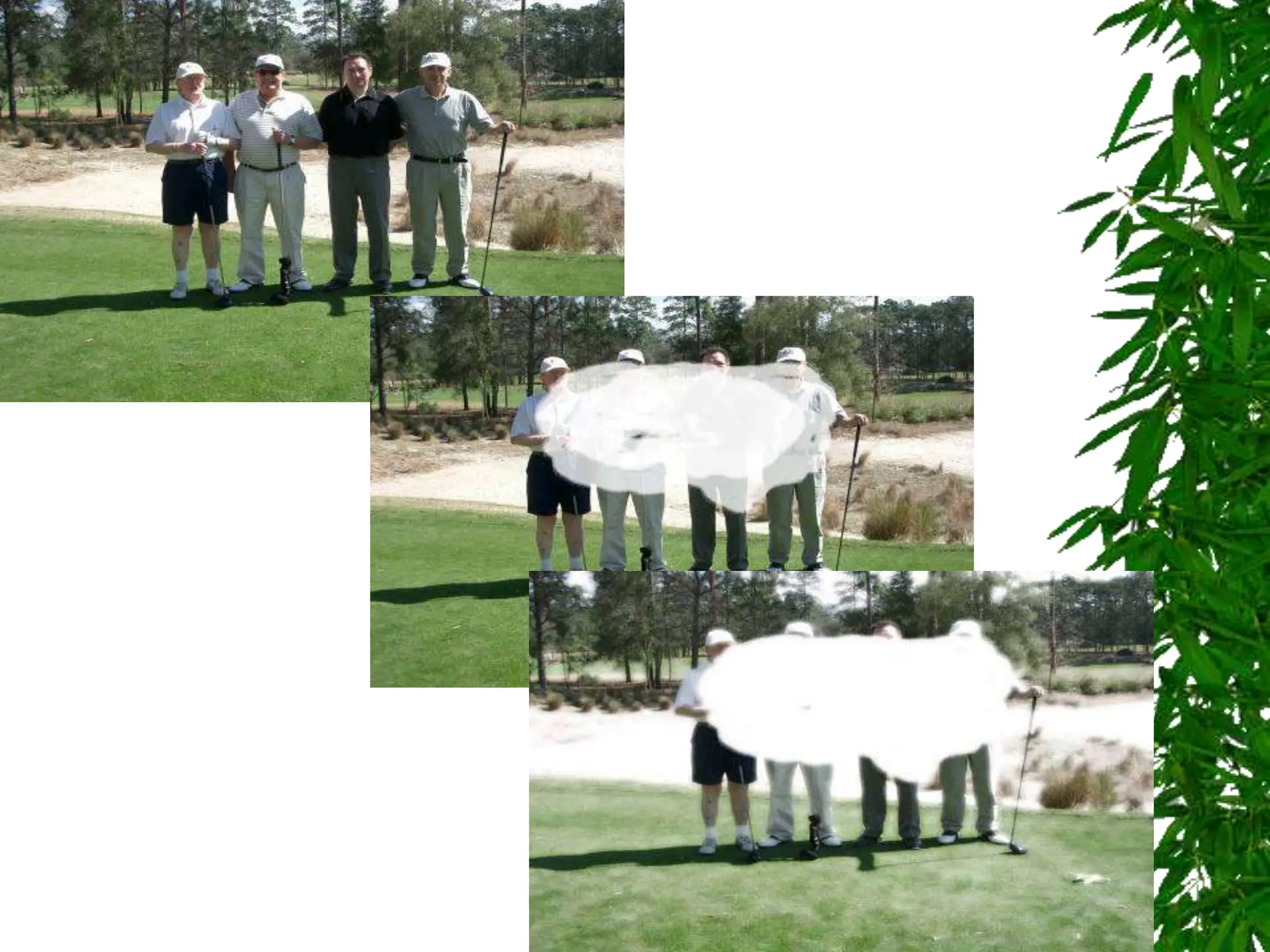 Low Vision Managment, Age Related Macular Degeneration ARMD | PPT