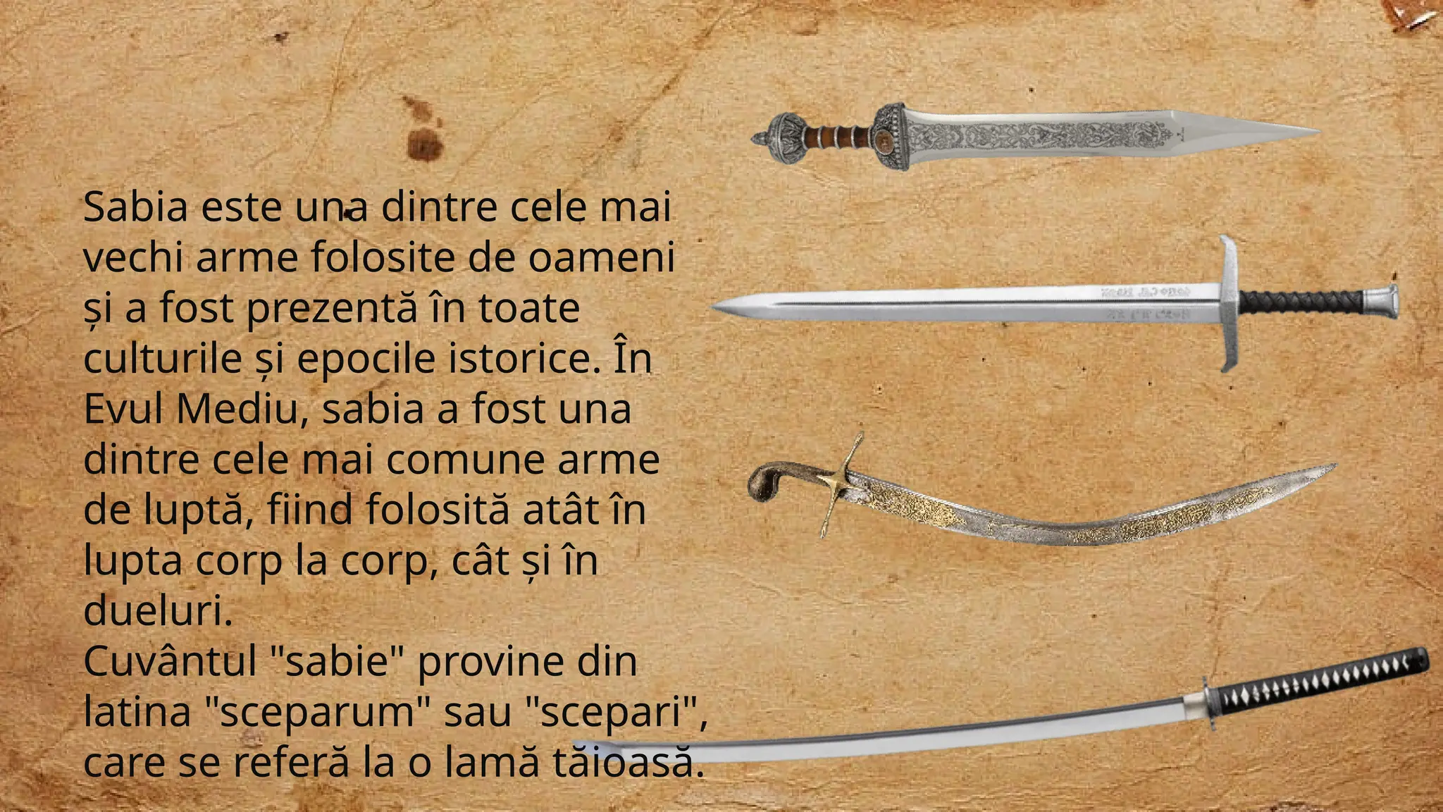 Armele medievaleeeeeeeeeeeeeeeeeeee.pptx